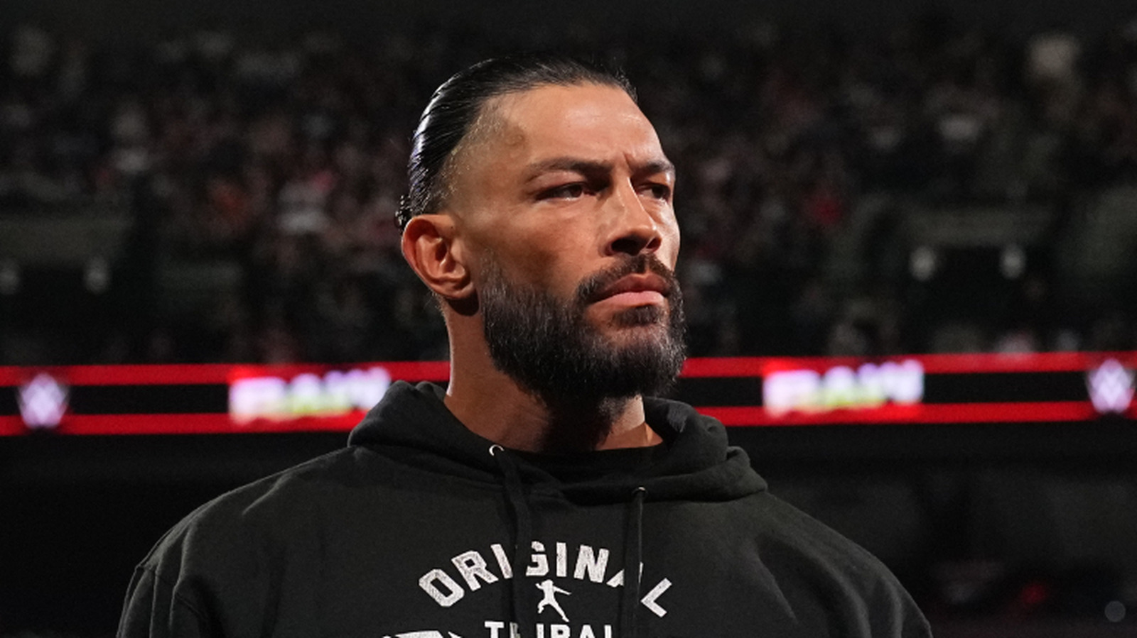 Meet the WWE Tribe Chief Wife